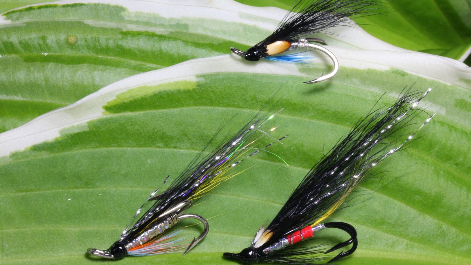 Best Salmon Fly Patterns for High Water Conditions - Radencich Salmon Flies