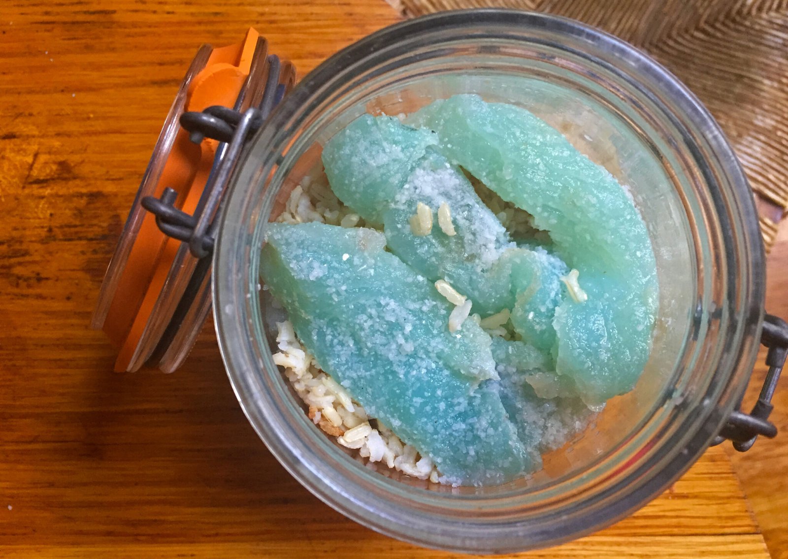 How to Preserve Salmon Fish Using Fermentation - Radencich Salmon Flies