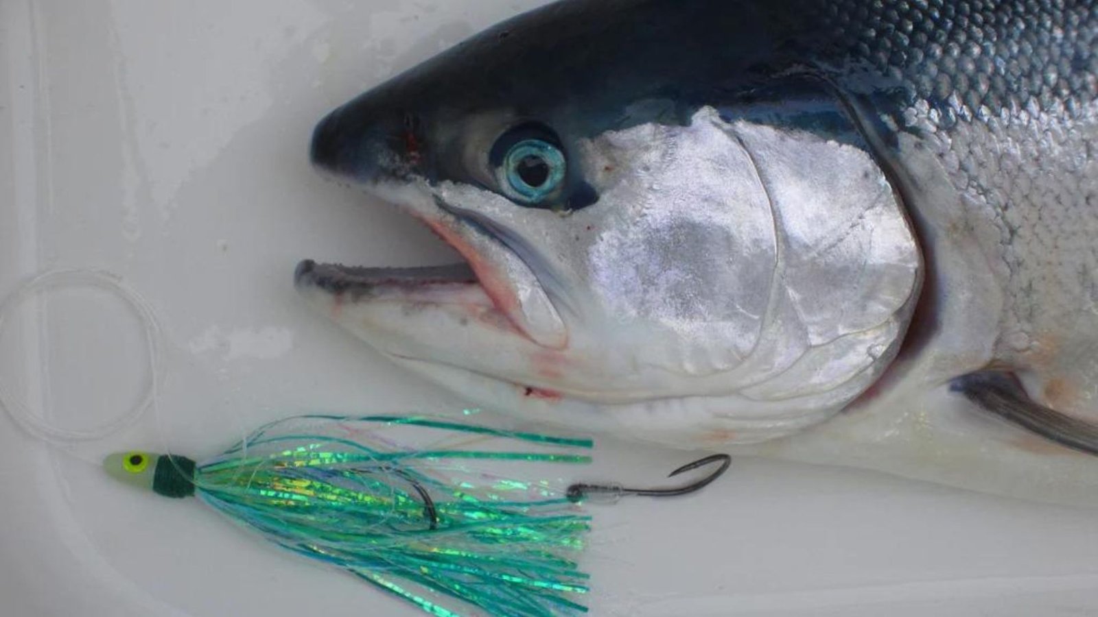 Step-by-Step Guide to Creating Custom Salmon Flies - Radencich Salmon Flies