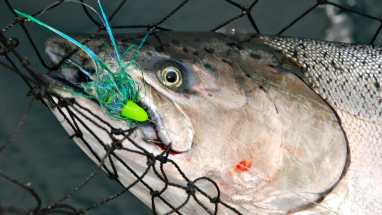 Ways to Tie Effective Salmon Fly Patterns - Radencich Salmon Flies